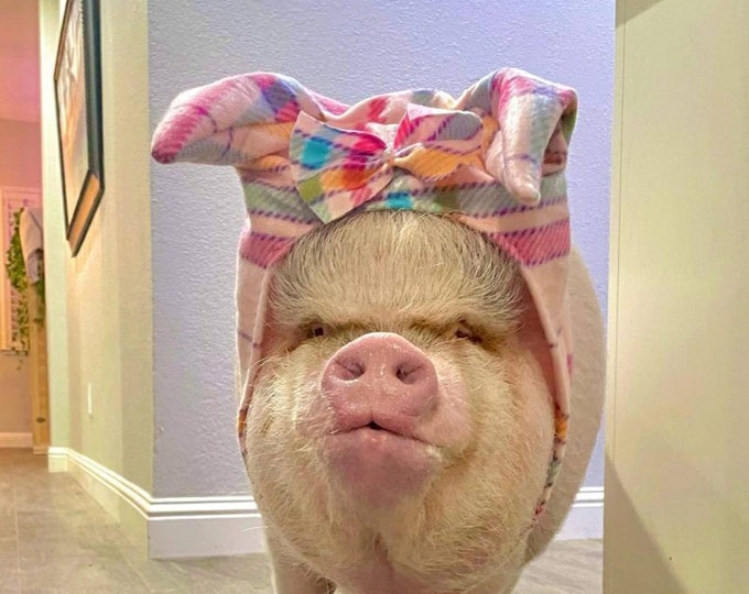 Mini Pig Double Blizzard Fleece Coats With a Flip up Collar to Protect ...