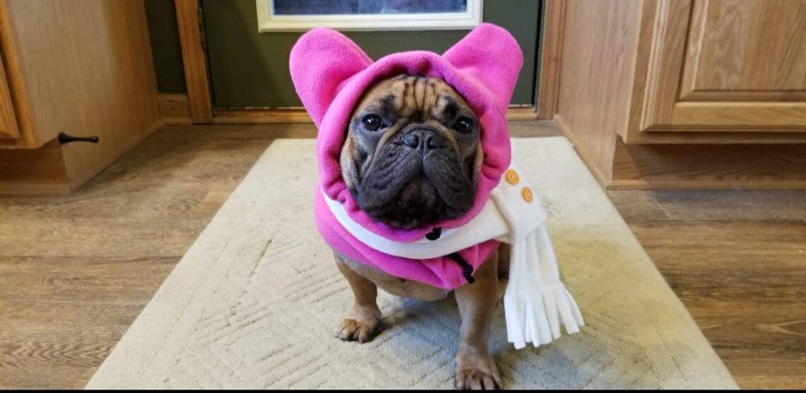 Pet neck scarf dog neck warmer puppy scarf winter dog scarf | Etsy