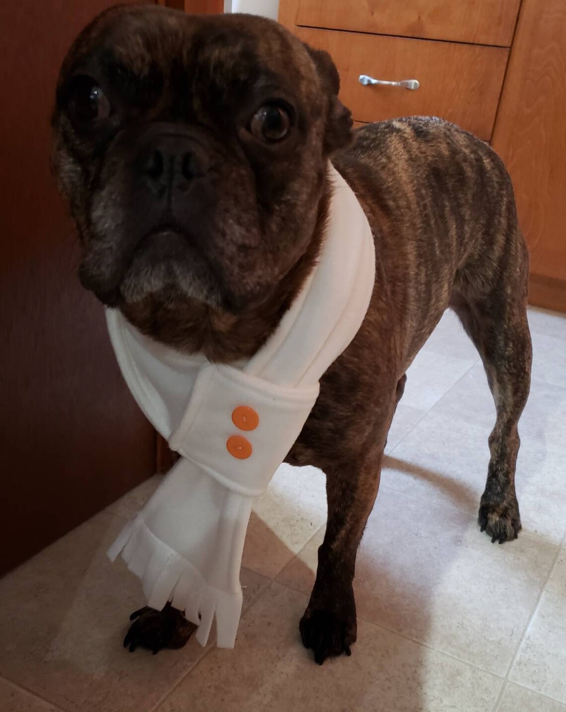 Pet neck scarf dog neck warmer puppy scarf winter dog scarf | Etsy