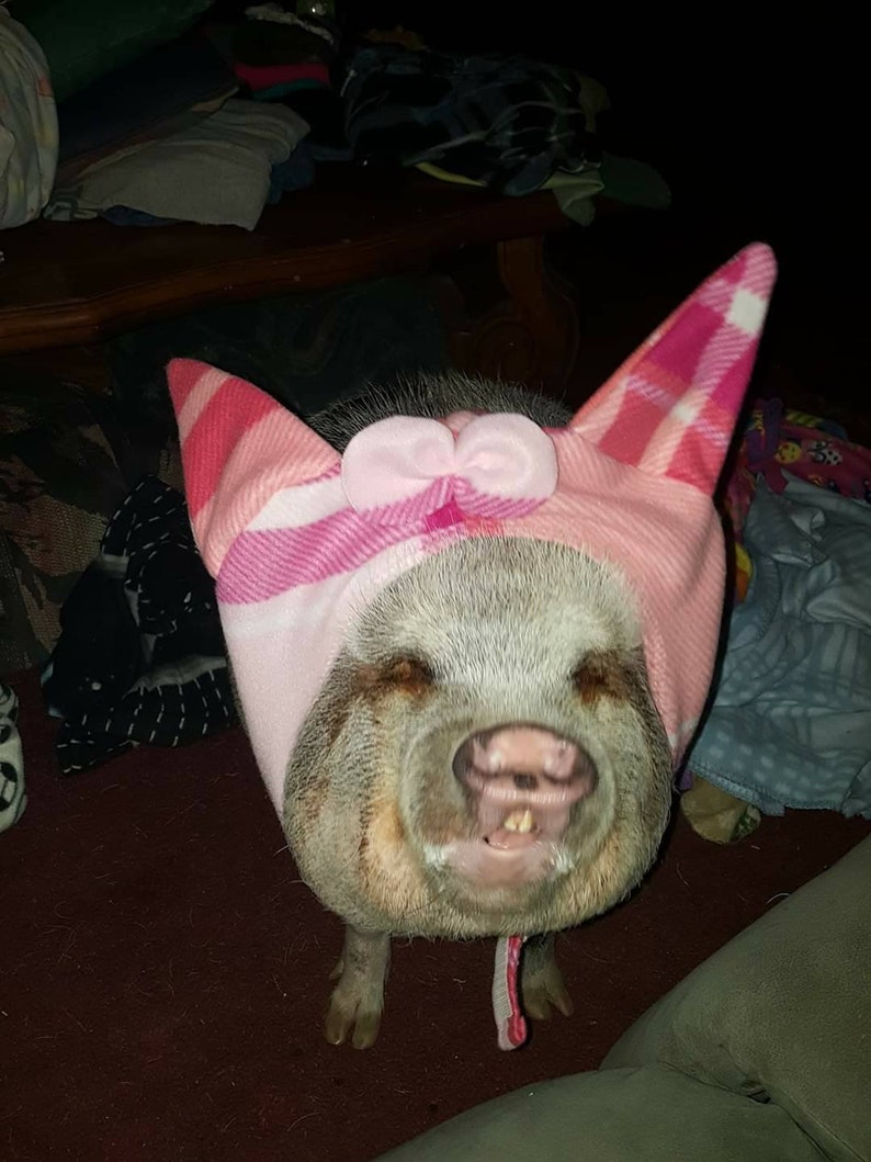 Miniature Pig Floppy Ear Hat | Etsy