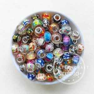 Assorted Large Hole Lampwork Beads, Spacer Beads, European Charm Beads ...