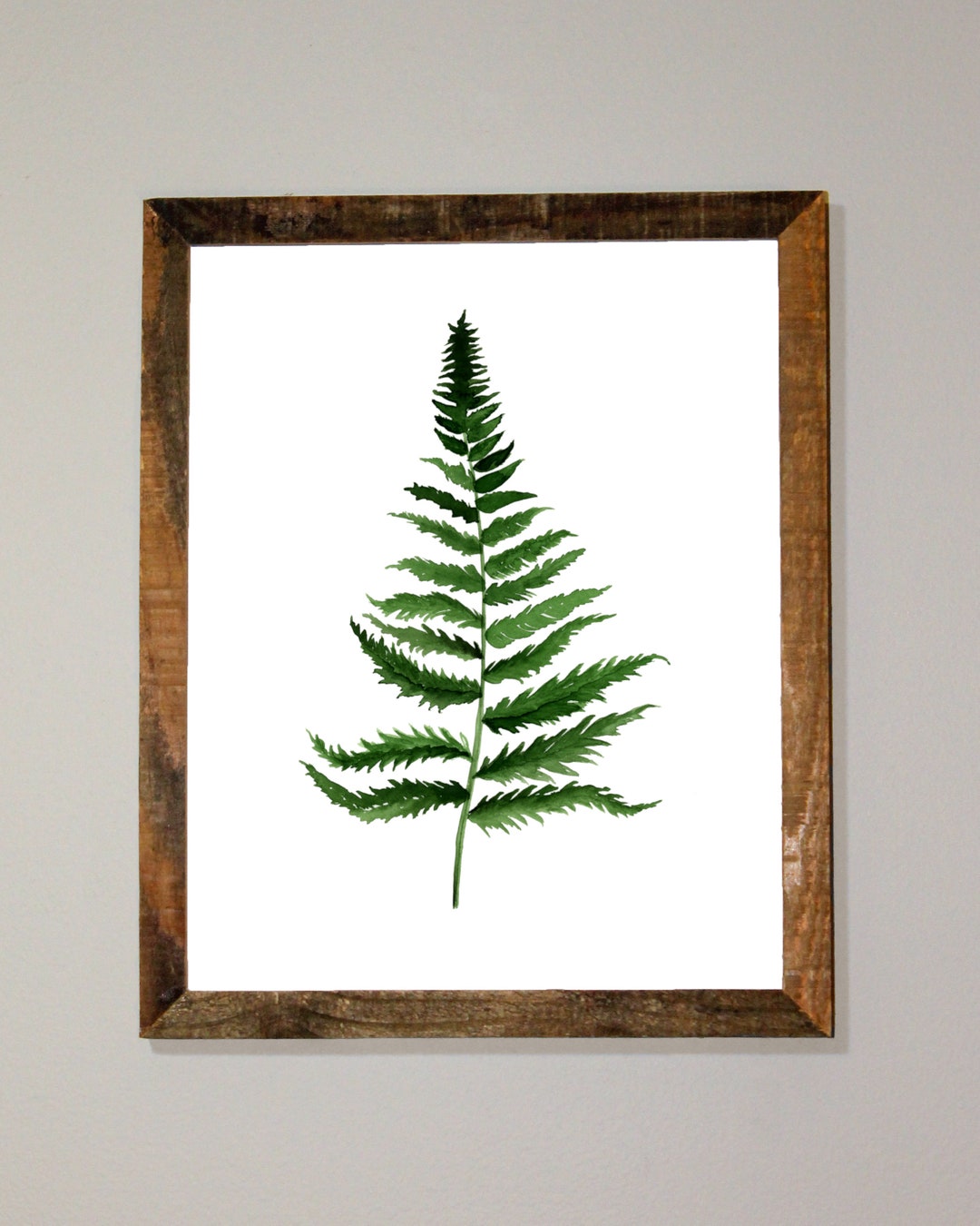 Fuzzy Fern Digital Download, Botanical Art, Watercolor Plants, Foliage ...