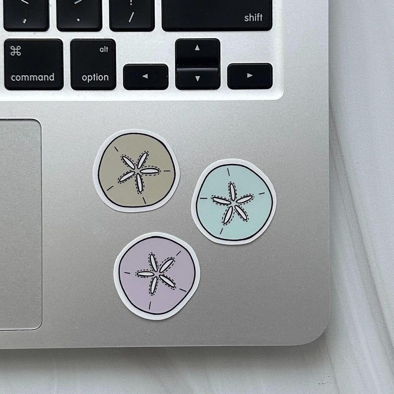 Sand Dollar Stickers: Hand-drawn Coastal Decals, Set of 3 - Etsy