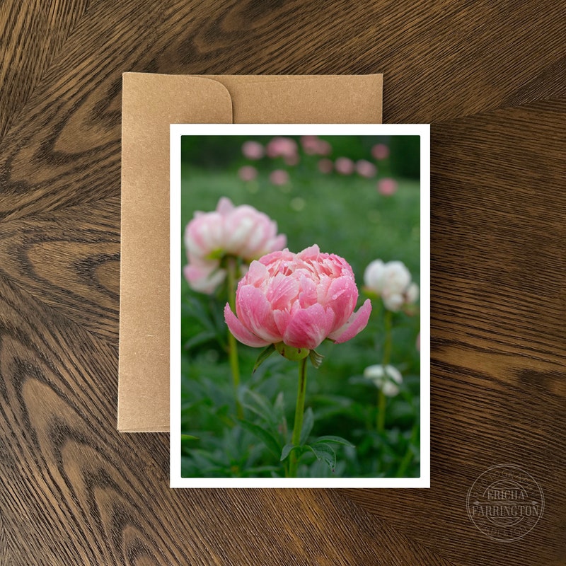 Floral Photography - Etsy