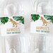 EDITABLE Dinosaur Birthday Water Bottle Label, Dino T-rex Bottle Label ...