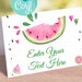 EDITABLE Watermelon Tags Buffet Label Tent Card Food Labels Place Cards ...