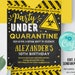 Editable Quarantine Birthday Party Invitation Virtual Birthday Party ...