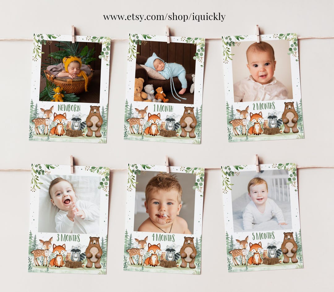 Editable Woodland Monthly Birthday Banner Forest Animals Printable ...