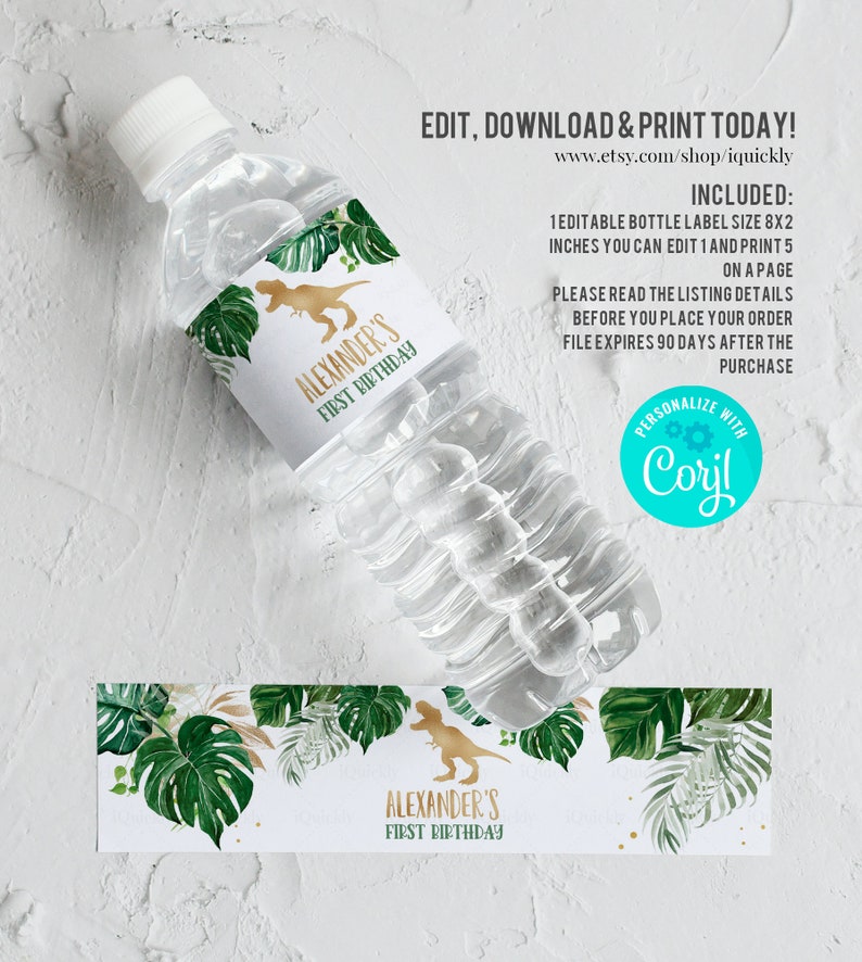 EDITABLE Dinosaur Birthday Water Bottle Label Dino T-rex - Etsy