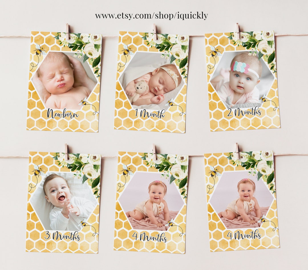 EDITABLE Bee Monthly Banner Photo 12 Month Honey Bee Printable 1st ...