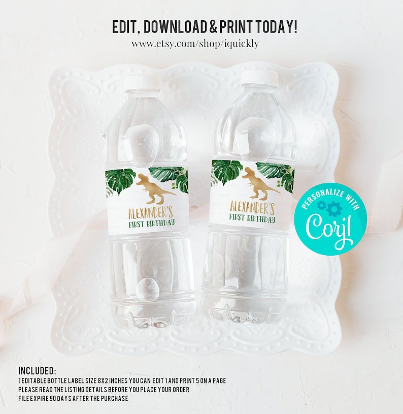 EDITABLE Dinosaur Birthday Water Bottle Label Dino T-rex - Etsy