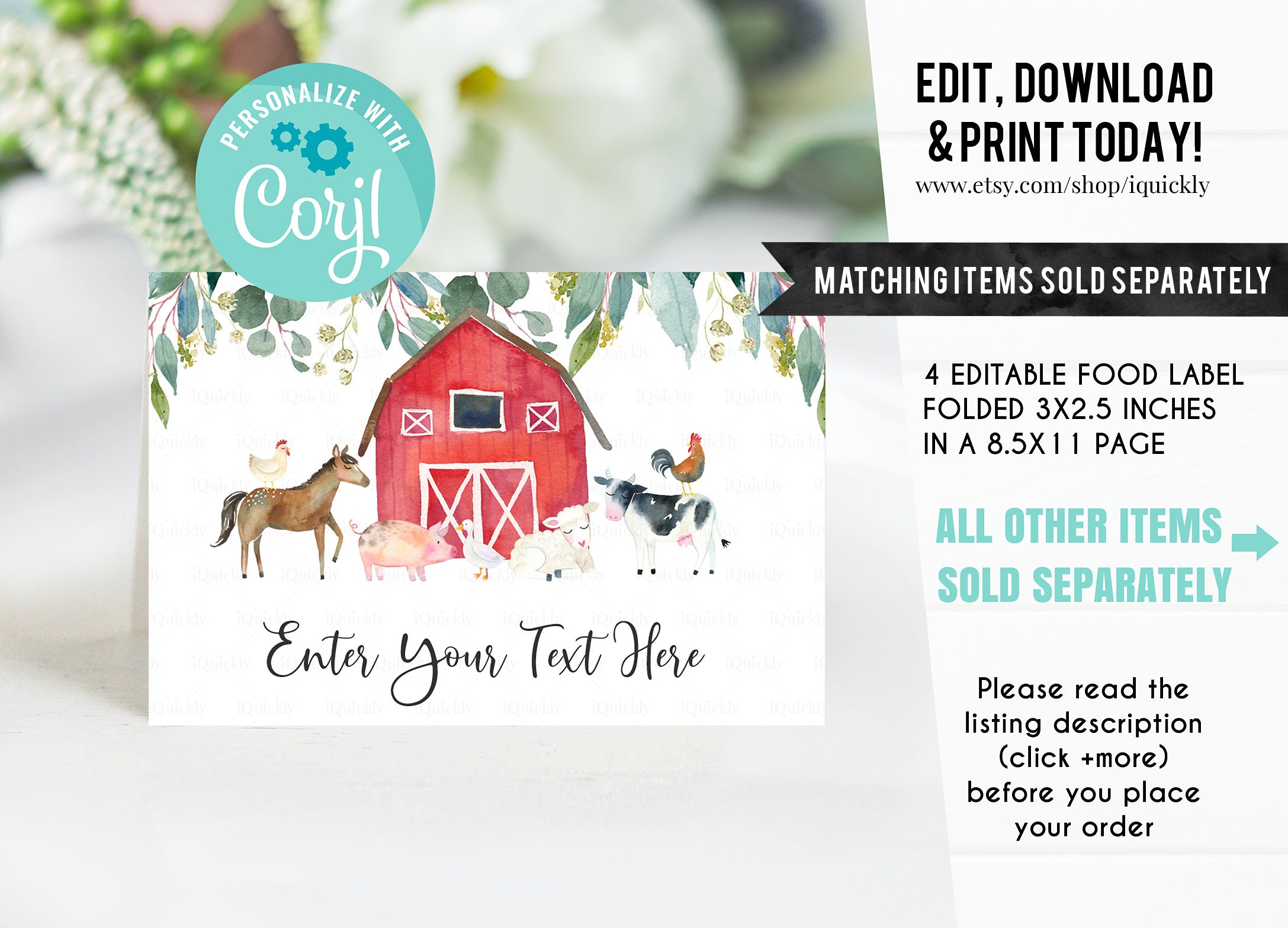 EDITABLE Farm Time Capsule Matching Note Cards, First Birthday Red Farm ...