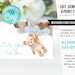 EDITABLE Teddy Bear Baby Shower Water Bottle Label, Boy Baby Shower ...
