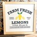 Farm Fresh Lemons Wood Sign Farmhouse Sign Rustic Home - Etsy