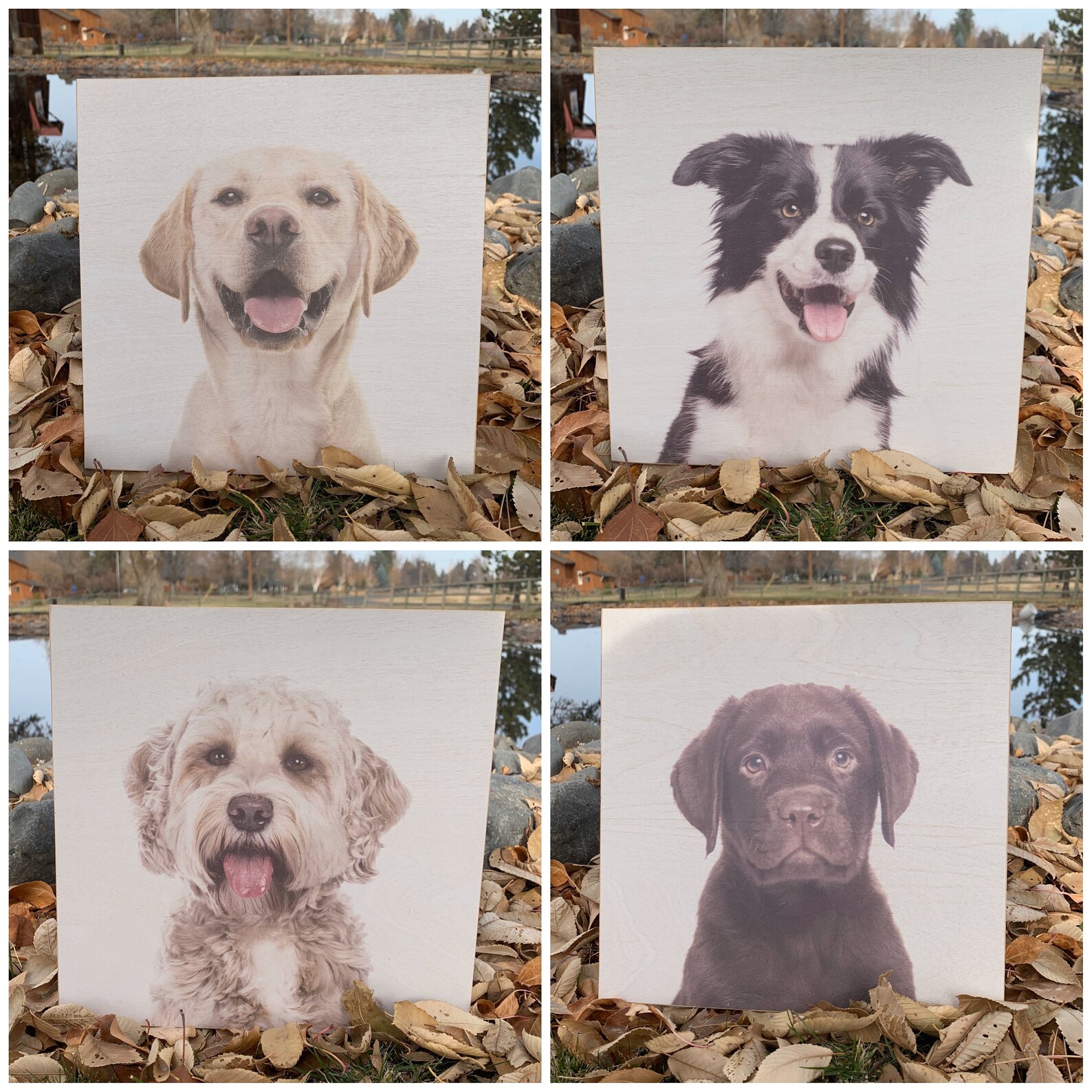 Animal Printed Sign With Wood Flowers Animal Decor Farmhouse - Etsy