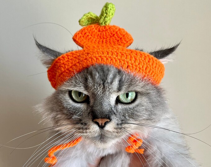 Crochet Hat for Cats Pumpkin - Etsy