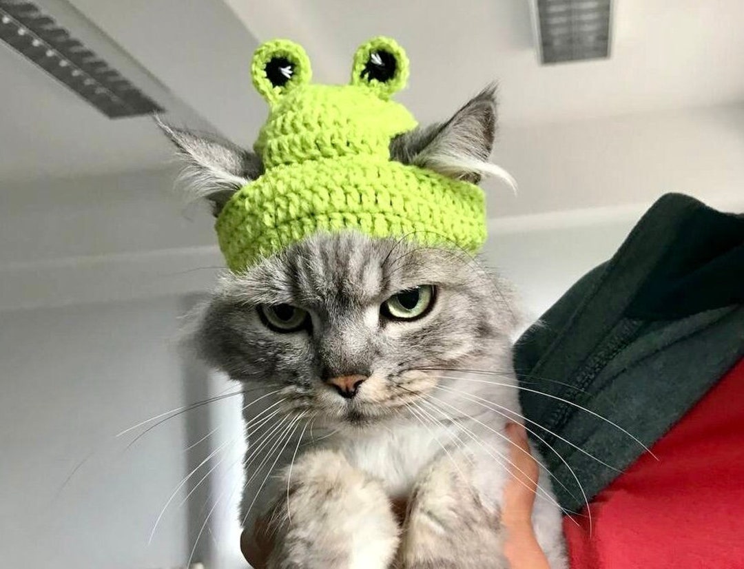 Frog Hat for Cats, Funny Feline Frog Accessory, Costume, Frog Hat With ...