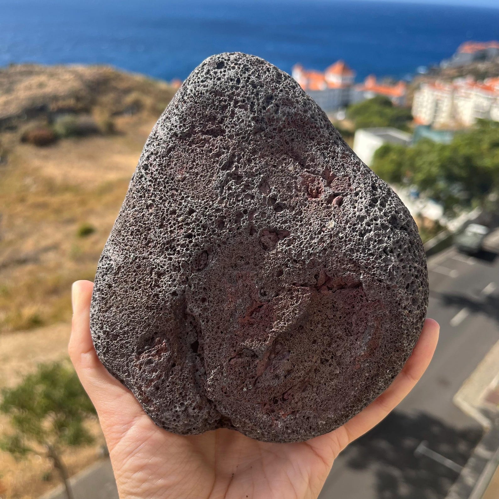 One Large Lava Rock – Perfect for Terrariums, Aquariums, Succulents ...