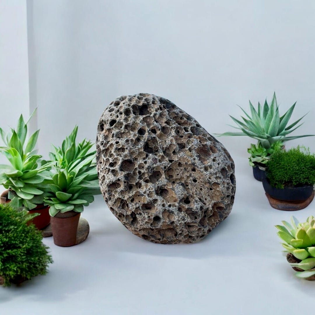 Exclusive Volcanic Stones From Madeira: Incredible Opportunity Volcanic ...