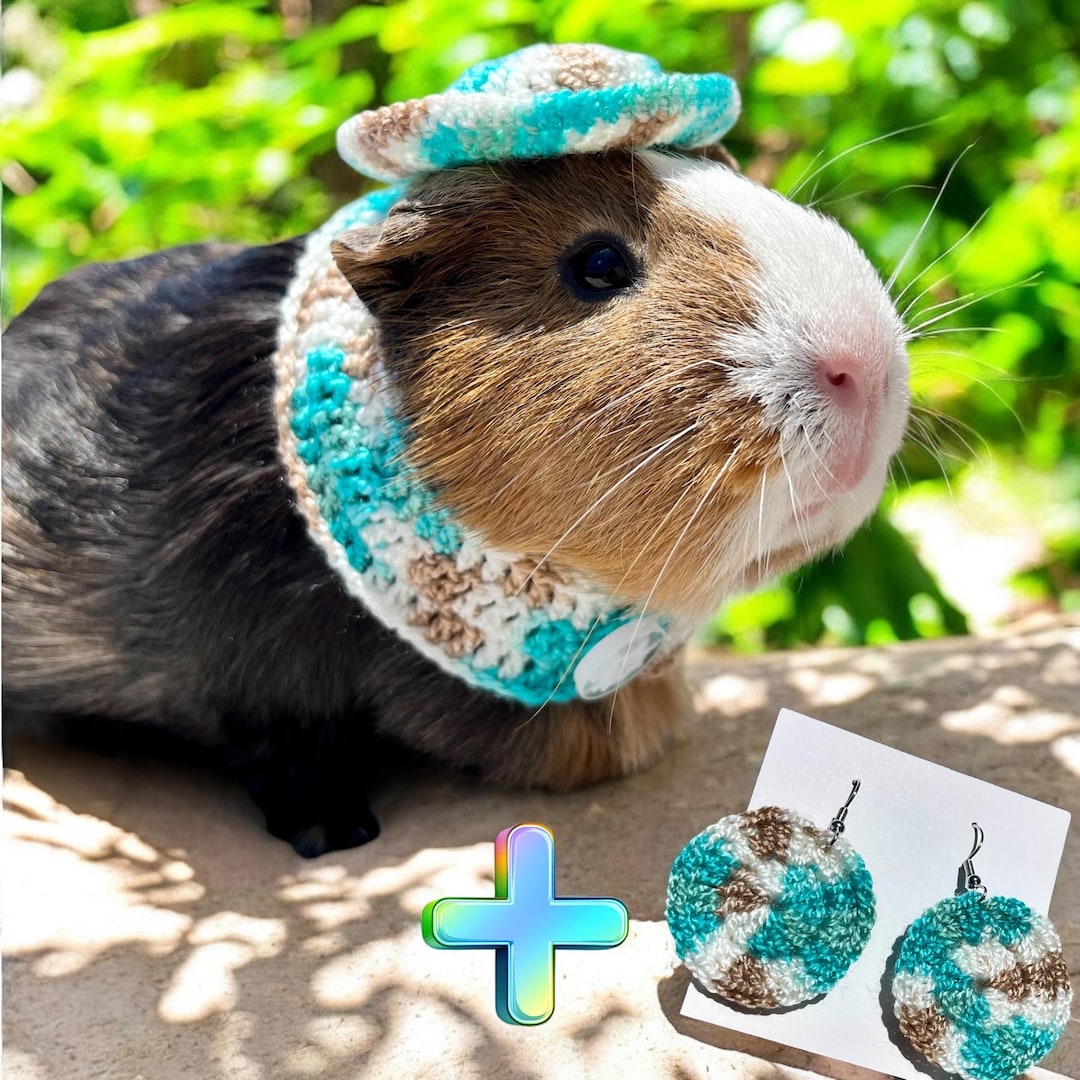 Handmade Guinea Pig Hat & Collar Set – Adorable Pet Outfit + Matching ...