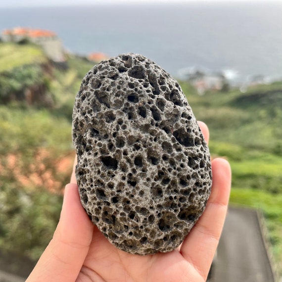 Volcanic Ash Rock Pompeii Of Prehistoric Plants” Unlocks