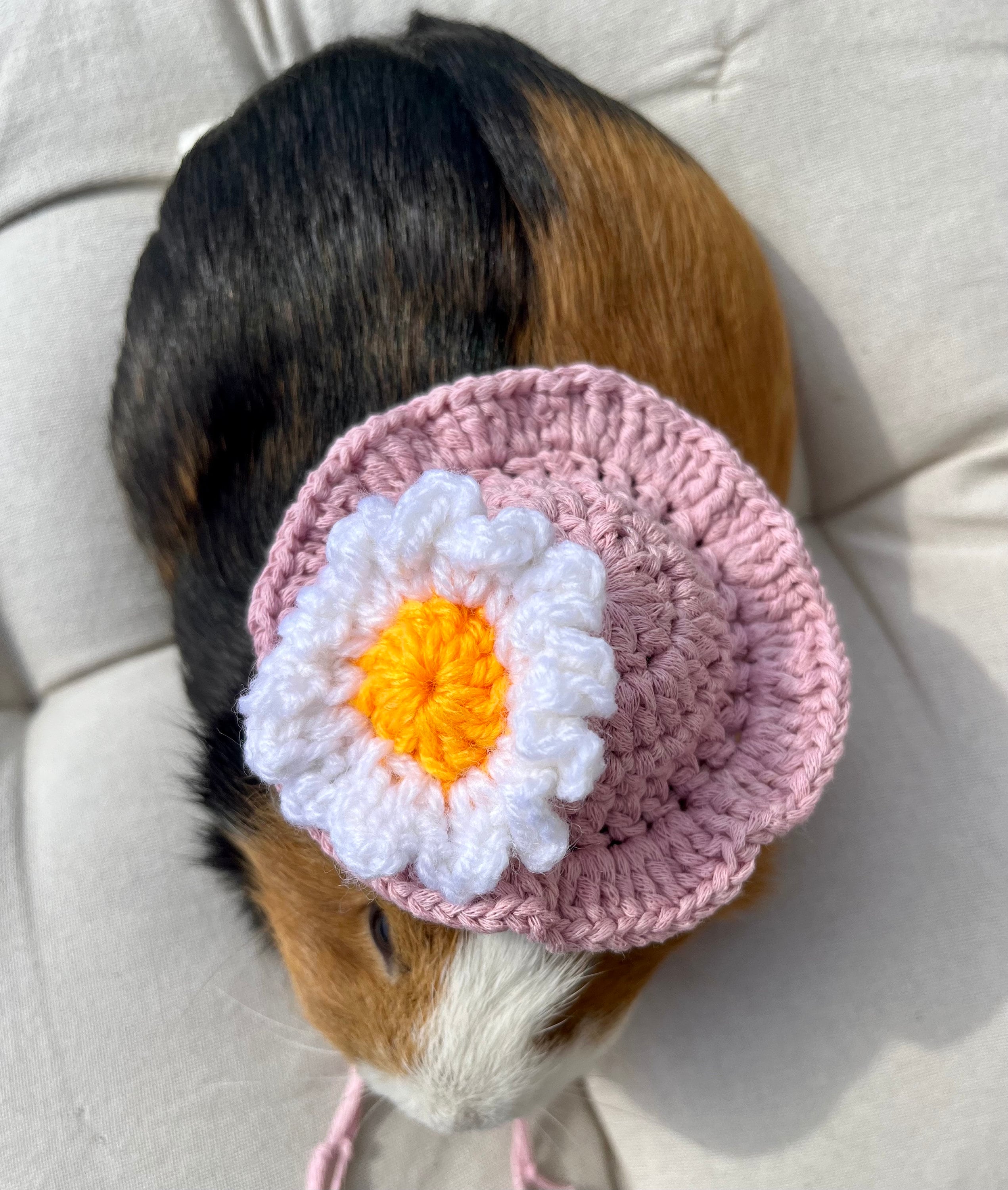 Crochet Panama Hats for Guinea Pigs Pink, Bunnies, Gerbils, Hamsters ...
