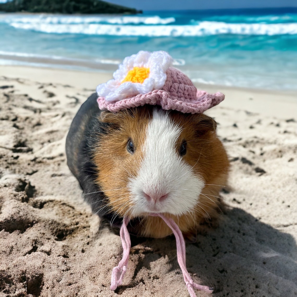 Crochet Panama Hats for Guinea Pigs Pink, Bunnies, Gerbils, Hamsters ...