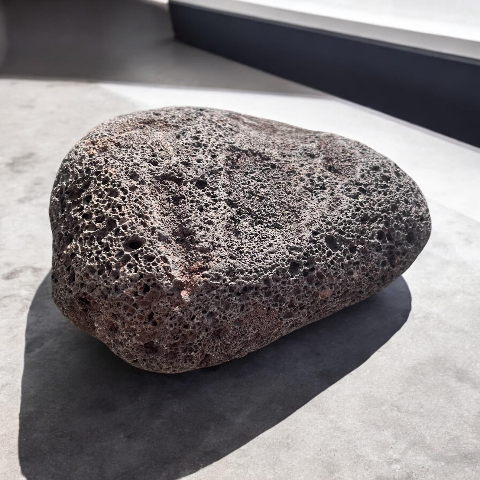 One Large Lava Rock – Perfect for Terrariums, Aquariums, Succulents ...