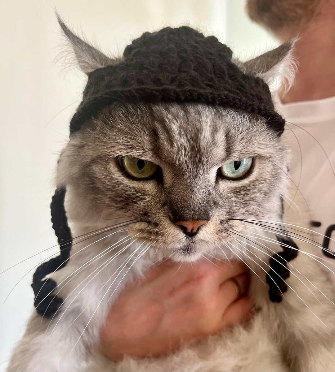 Crochet Cat/dog Kippah – Hanukkah Pet Hat, Jewish Holiday Pet Accessory ...