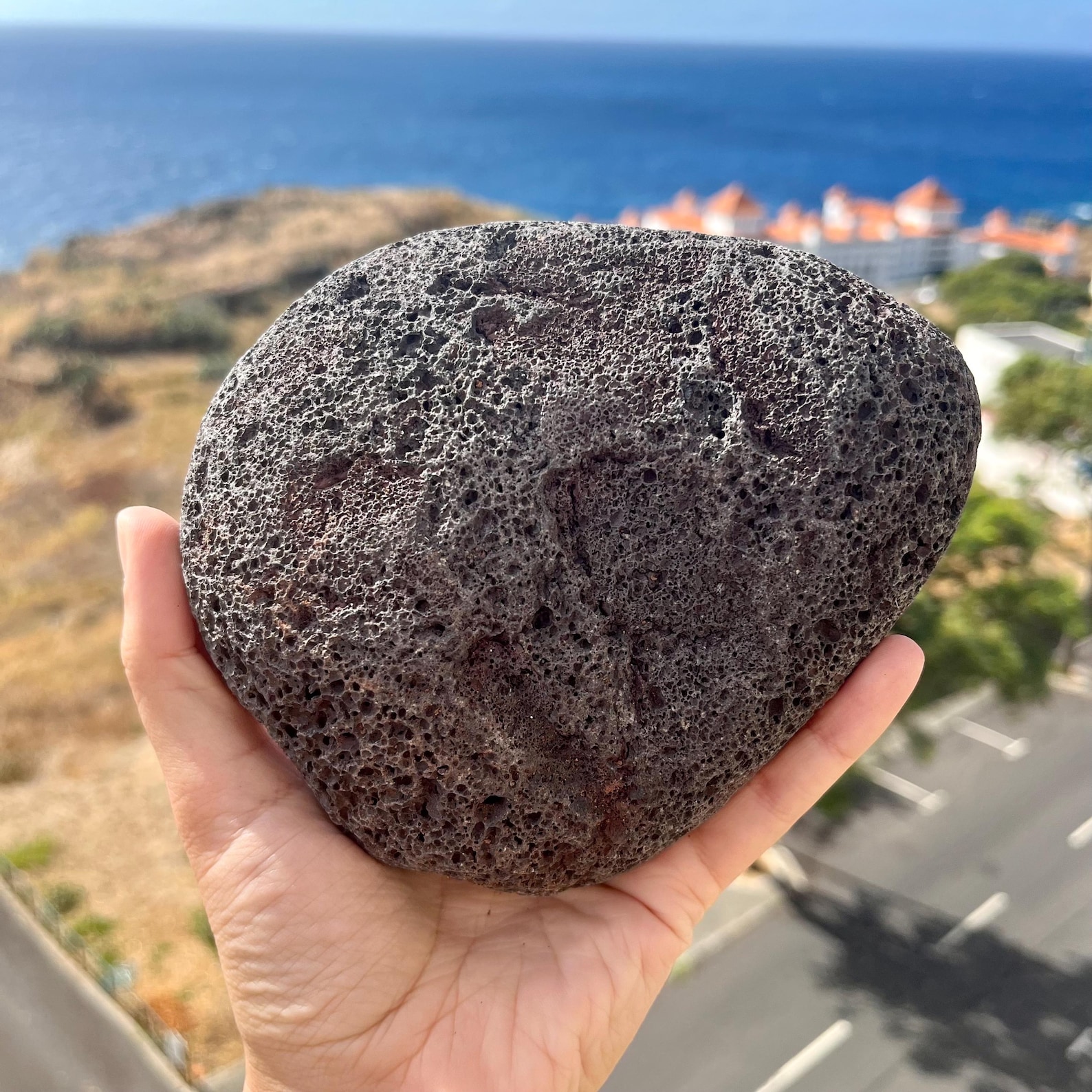 One Large Lava Rock – Perfect for Terrariums, Aquariums, Succulents ...