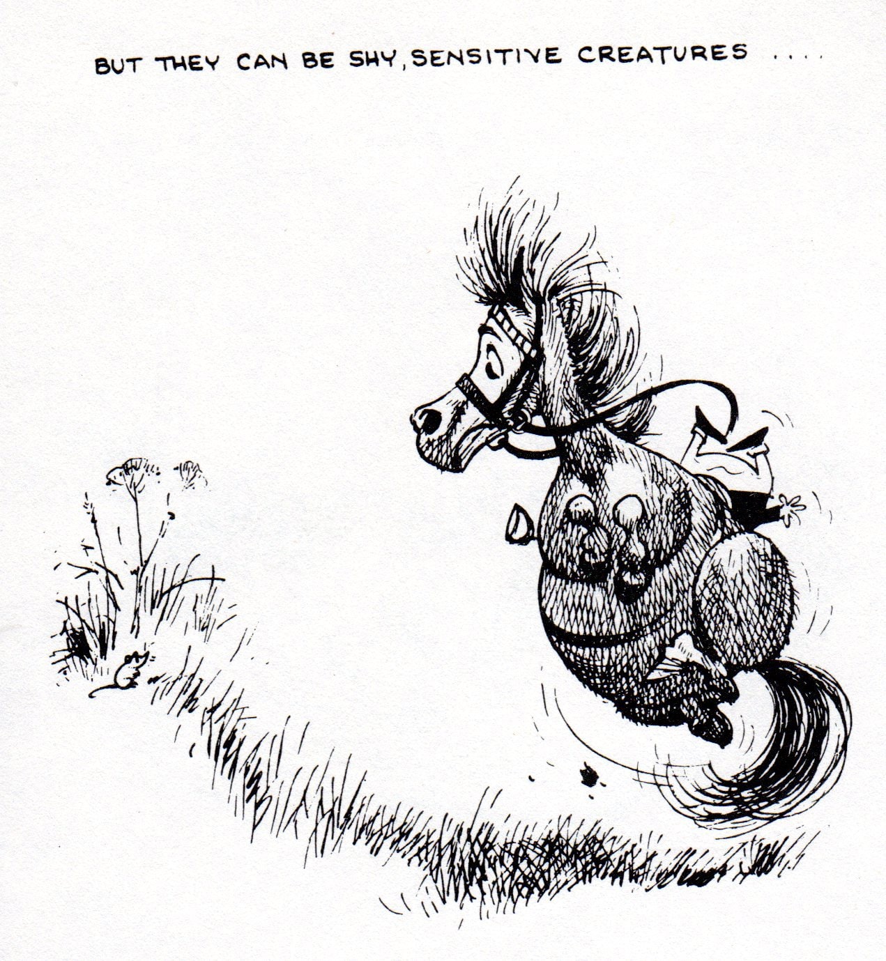 Thelwell Horse/Pony 1962 Original Vintage MOUNTED Cartoon | Etsy