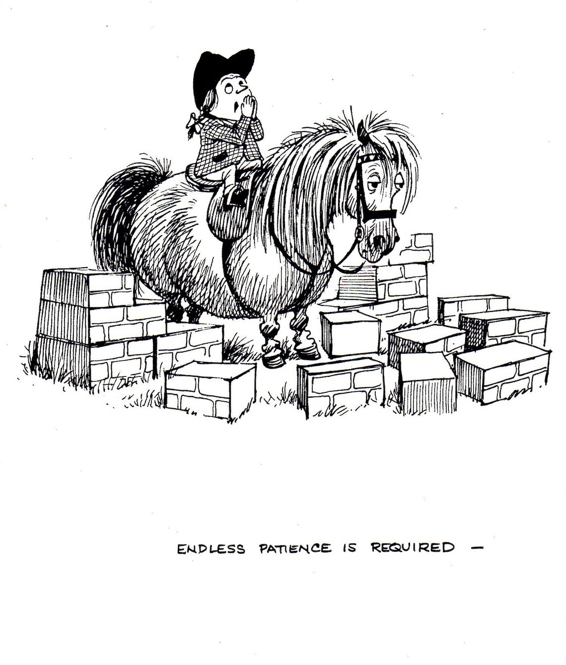 Thelwell Horse/pony 1962 Original Vintage MOUNTED Cartoon | Etsy