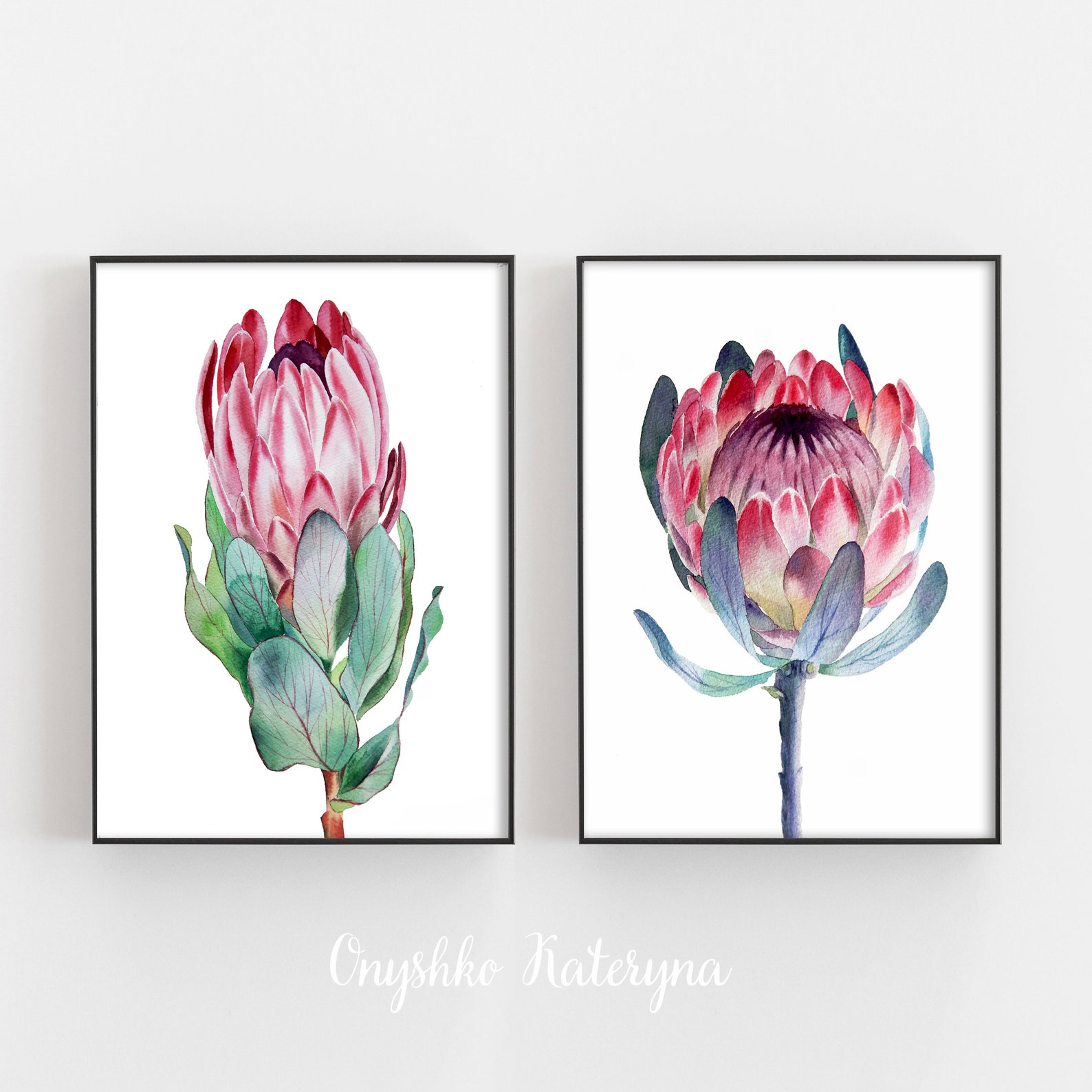 Set of 3 Protea Prints Watercolor Proteas Printableking - Etsy