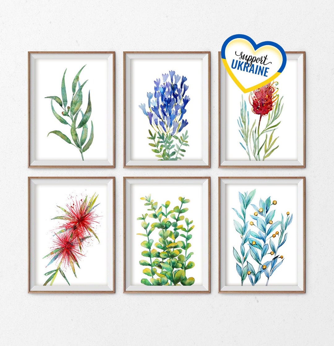 Set of 6 Australian National Plants: Jacaranda, Wattle, Blue Gum ...