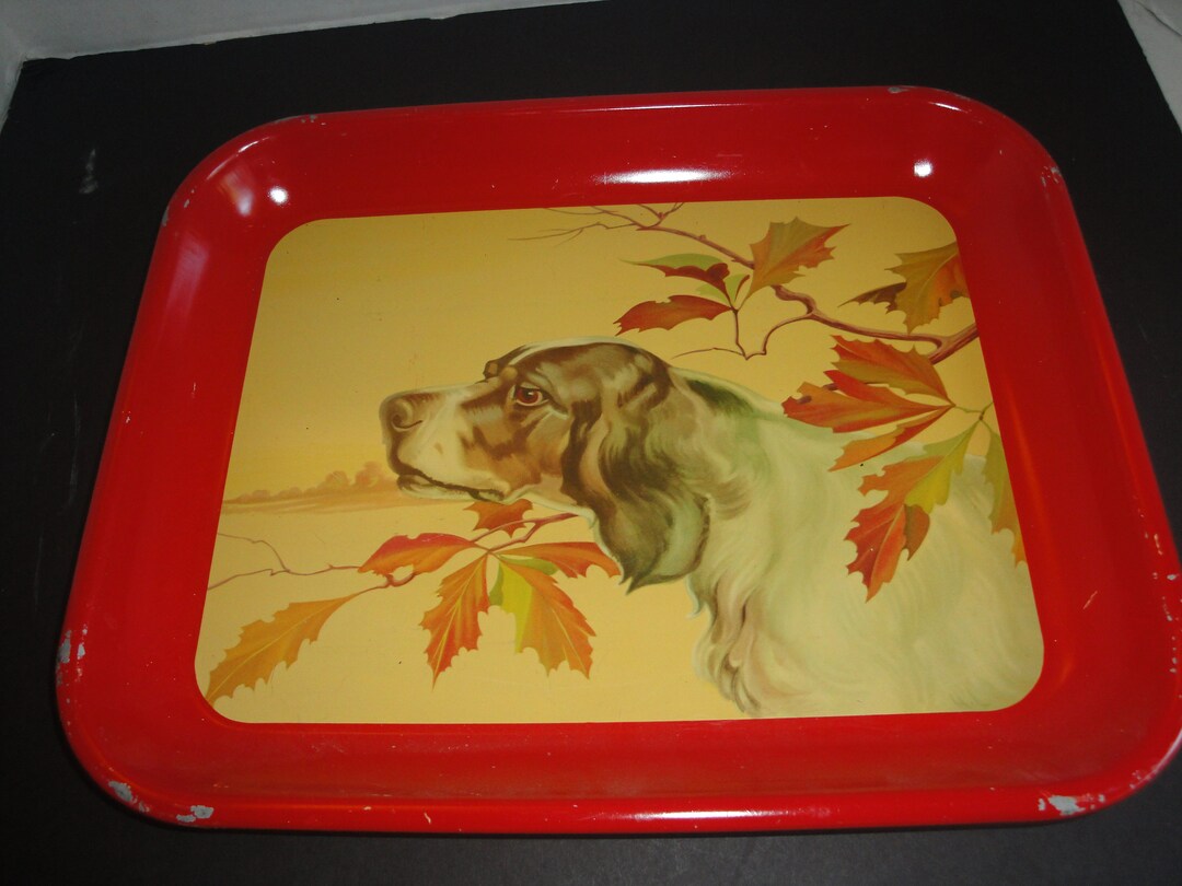 1950's Metal Serving Tray England Springer Spaniel Hunting Bird Dog ...