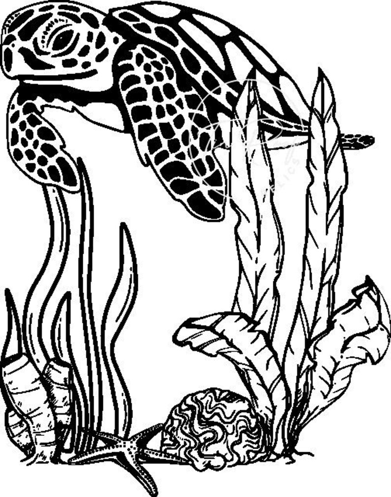 Sea Turtle SVG - Etsy