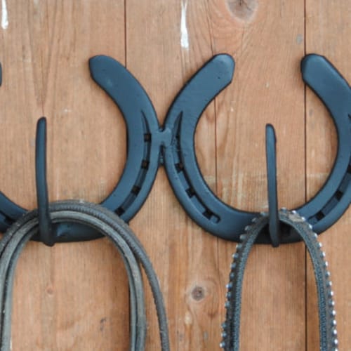 5 Coat Wall Mounted Horseshoe Coat Rack - Etsy