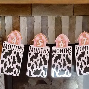 Farm Monthly Photo Banner Barnyard Theme First Year Photo Banner ...