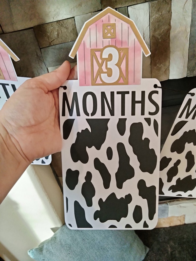 Farm Monthly Photo Banner Barnyard Theme First Year Photo Banner ...