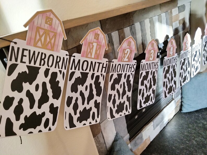 Farm Monthly Photo Banner Barnyard Theme First Year Photo Banner ...