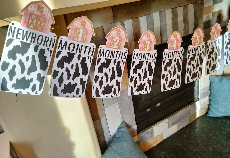 Farm Monthly Photo Banner Barnyard Theme First Year Photo Banner ...