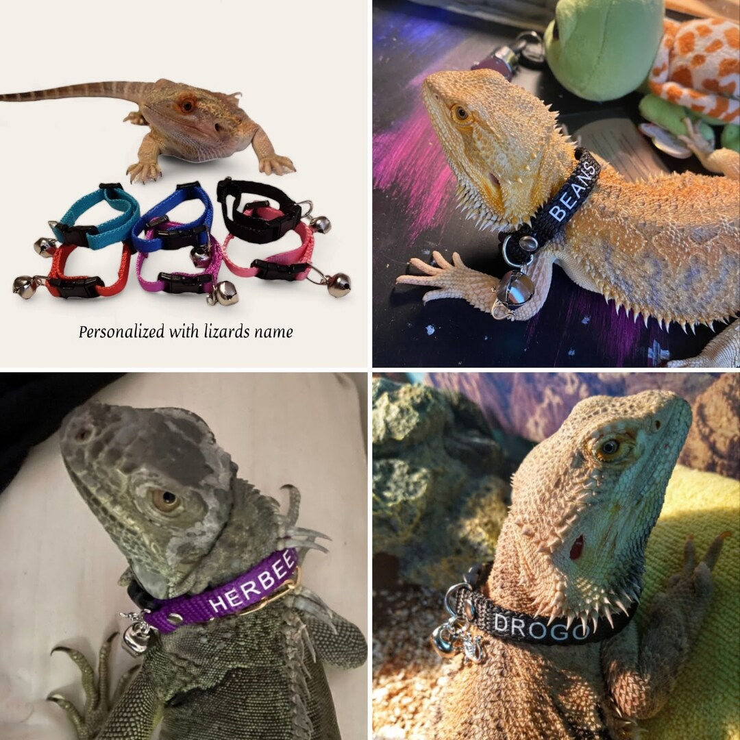 Bearded Dragon Collar Personalized Adjustable Lizard Bell Collar, Small ...