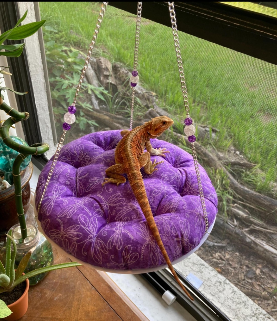 Bearded Dragon Lizard Pillow Swing; Papasan Style, Multiple Sizes ...