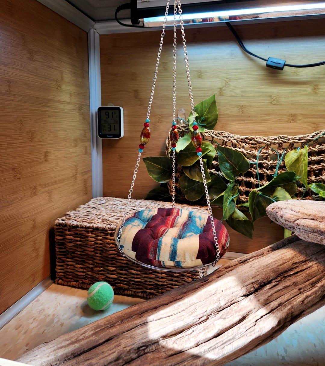 Bearded Dragon Lizard Pillow Swing: Multiple Sizes & Fabric Colors ...