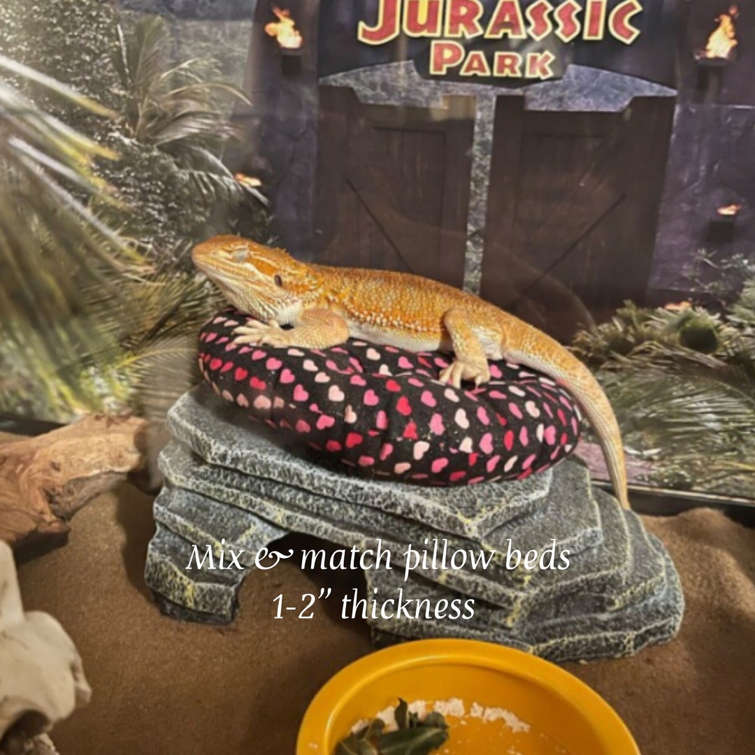 Bearded Dragon Pillow Lounge Bed – Papasan Style Reptile Hammock ...