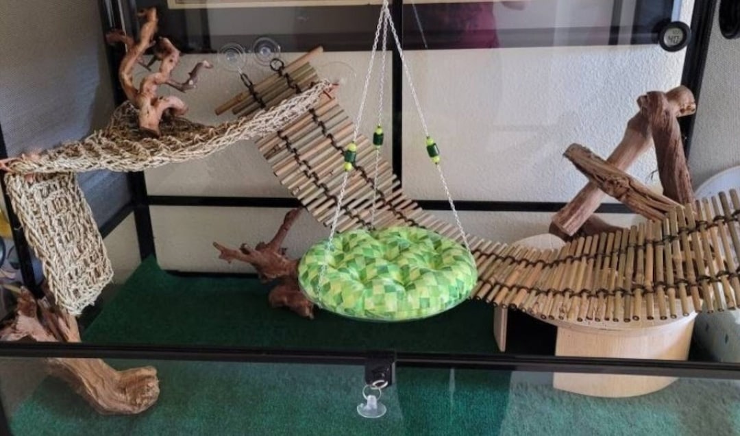 Bearded Dragon Pillow Swings & Lizard Pillow Lounge Beds; Papasan Style ...