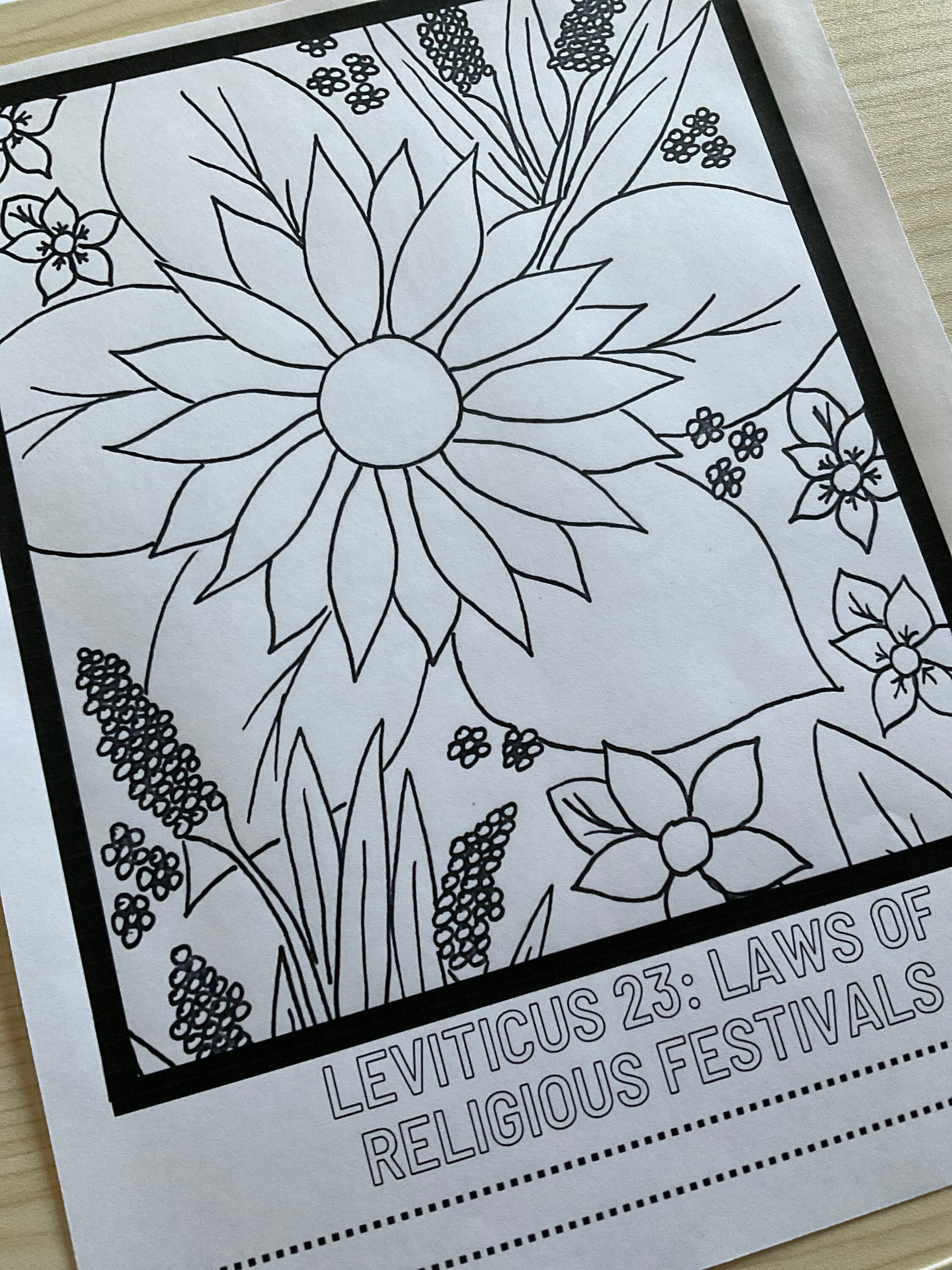 Leviticus 23: Laws of Religious Festivals, Digital Download, Coloring ...