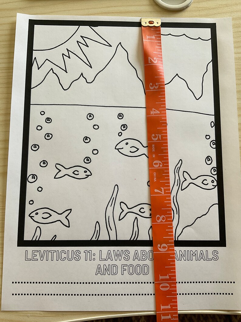Leviticus 11: Laws About Animals and Food – Printable Bible Coloring ...
