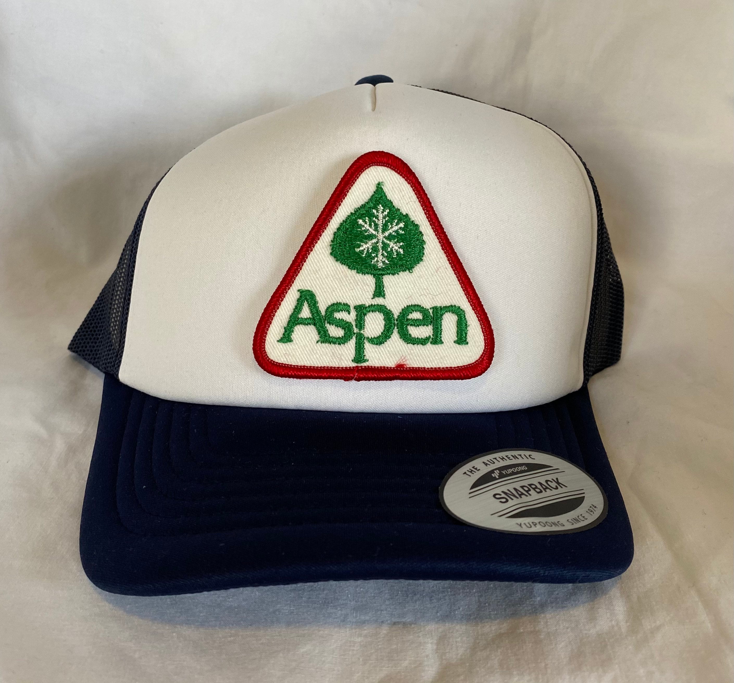 Aspen Ski Resort Colorado Patch Trucker Hat Flexfit 110 | Etsy