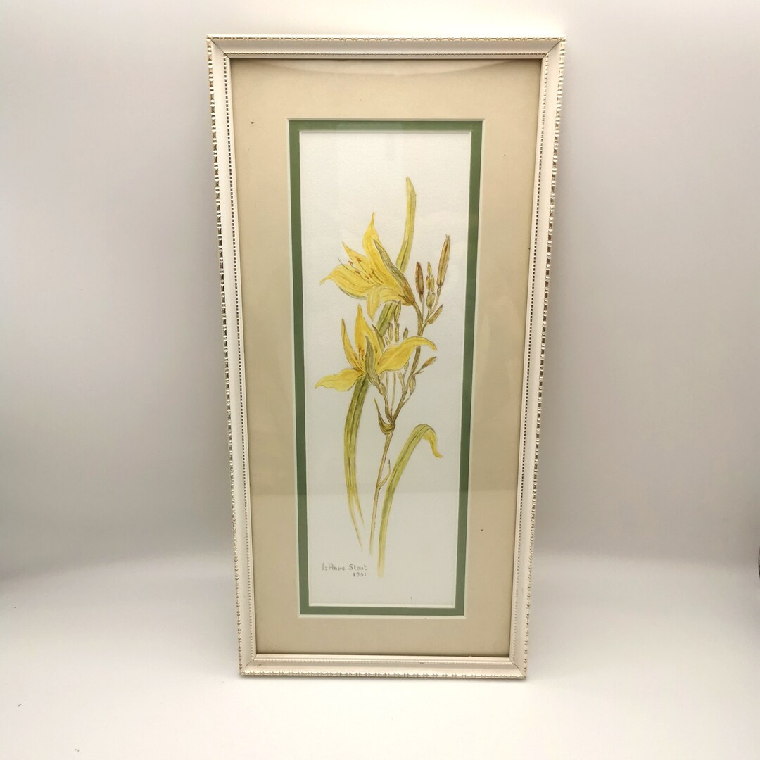 Vintage Framed and Signed Pencil Drawing of Daffodil Flowers by L. Anne ...
